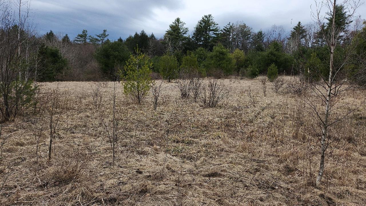 Superfund Sites in Reuse in Massachusetts | US EPA