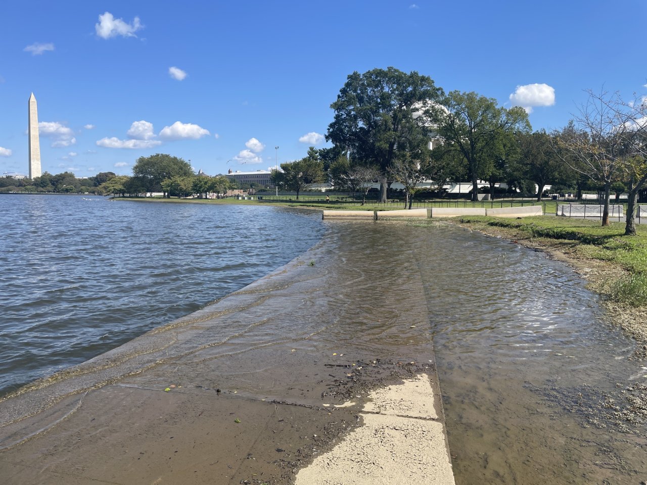 Climate Change Connections: Washington, D.C. (Cherry Blossoms) | US EPA