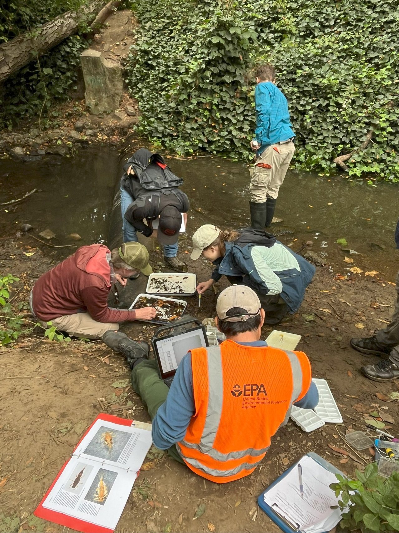 Development of the Regional SDAMs | US EPA