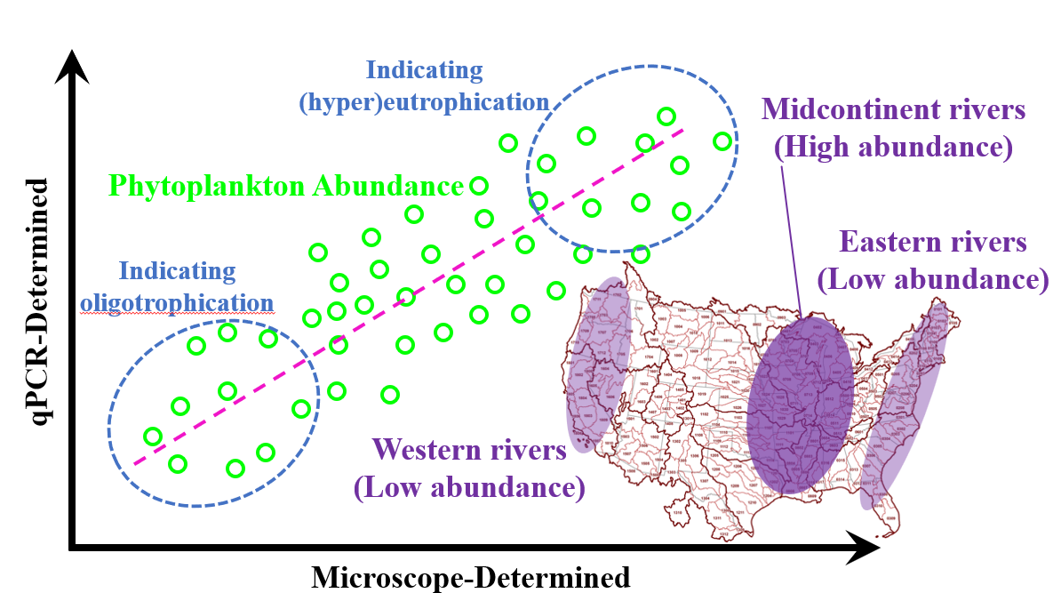 A New Way to Measure Phytoplankton and Cyanotoxin Producers in Large ...