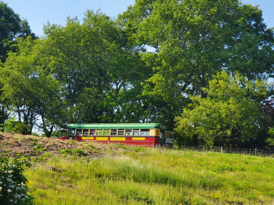 Nature’s Lawnmowers: How One EPA Facility Uses Goats for Eco-Friendly ...