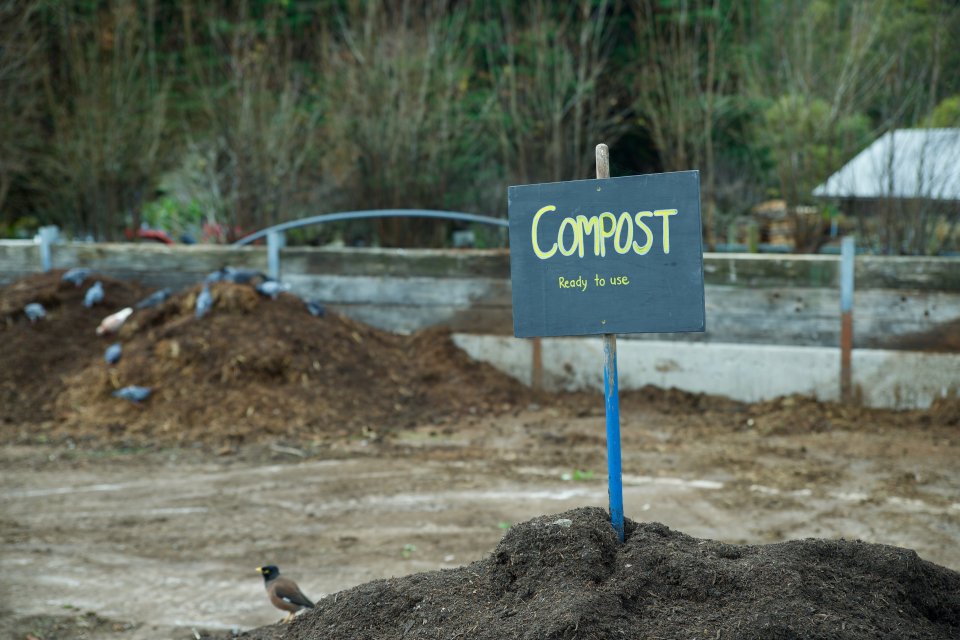 Start a Composting Program | US EPA