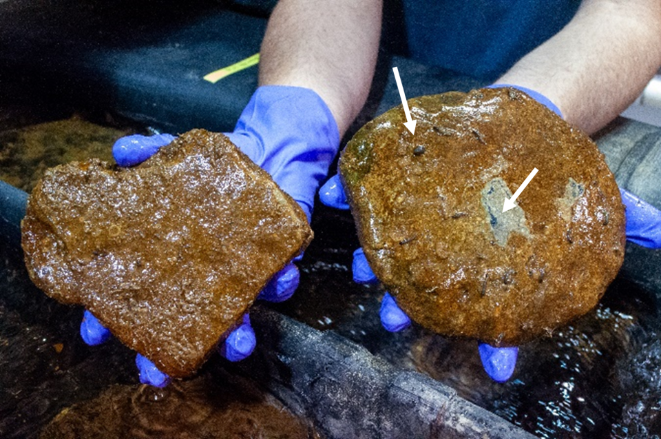 Current Affairs: Studying Oil Spills in Freshwater Streams | US EPA