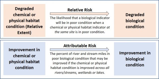 Relative Extent, Relative Risk and Attributable Risk | US EPA