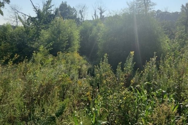 Climate Adaptation Profile: Solvents Recovery Service of New England ...