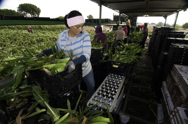 Feeding You & Me: Honoring Farmworkers During National Farmworker ...
