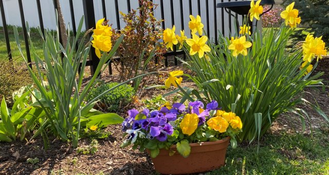 EPA Region 1 (New England) | US EPA