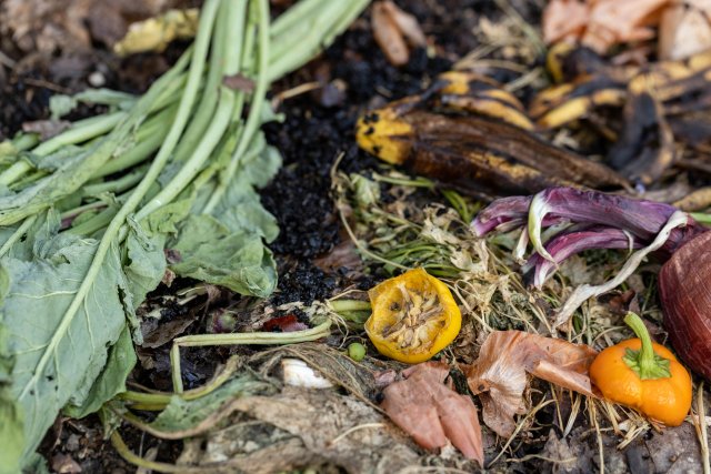 Composting At Home | US EPA