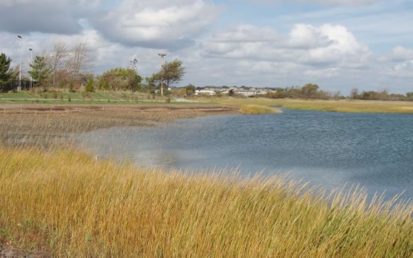 R1 Success Story: Belle Isle Salt Marsh, Boston, Mass. | US EPA