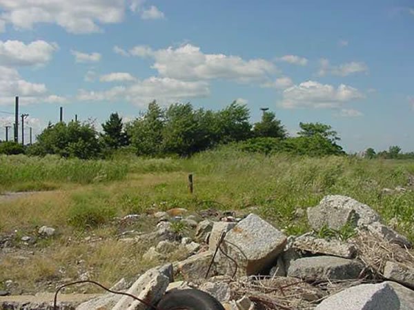 R1 Success Story: Belle Isle Salt Marsh, Boston, Mass. | US EPA