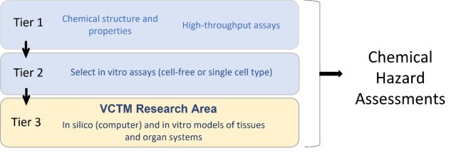Innovative Methods for Virtual and Complex Tissue Modeling | US EPA