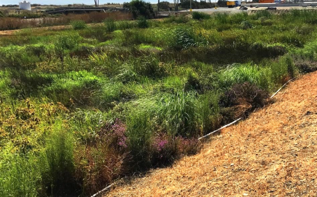 Water Reuse and Nature-based Solutions | US EPA