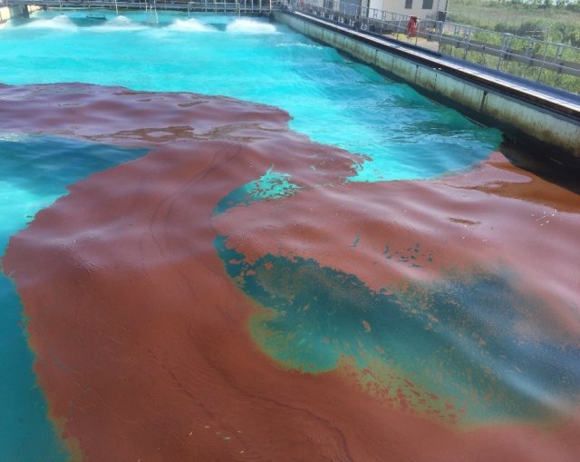 Emergency Response Research Webinar Series | US EPA