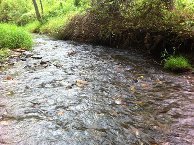 Example - Stream Monitoring | US EPA