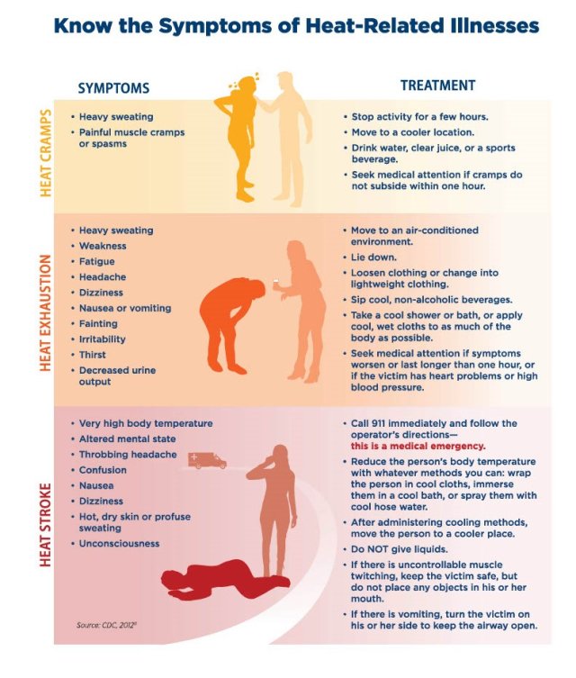 Know the Symptoms of Heat-Related Illnesses Infographic | US EPA