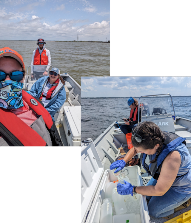 How EPA Scientists Use Fish eDNA to Assess Estuarine Health | US EPA