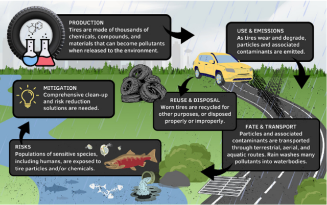 Where Rubber Meets the Road: EPA Researchers Study the Environmental ...