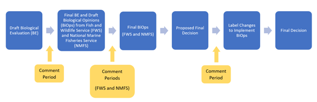 Registration Review Process | US EPA