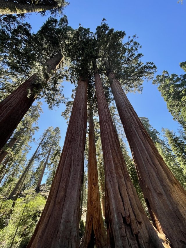 Proposed Modification to 2022 Construction General Permit (CGP) | US EPA Proposed Modification to 2022 Construction General Permit (CGP) | US EPA