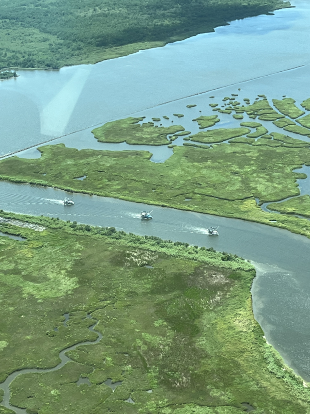 Learn About Some Ways the Trustees Restore the Gulf | US EPA