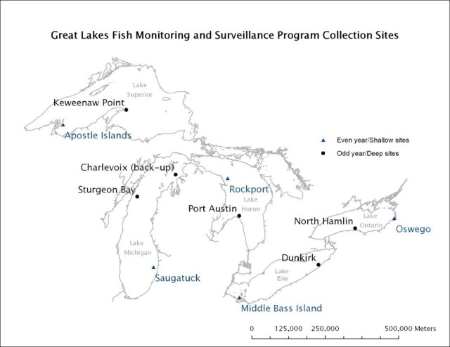 Great Lakes Fish Monitoring and Surveillance | US EPA