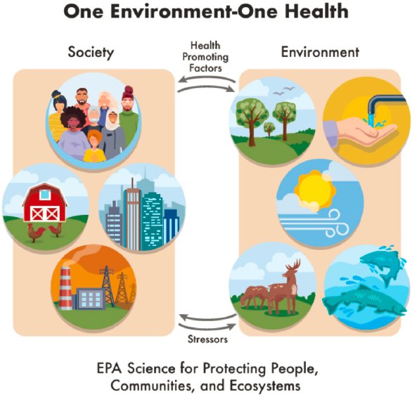 EPA Work on One Health | US EPA