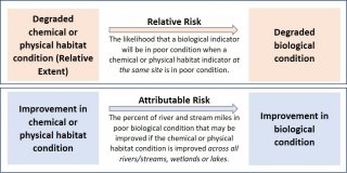 Relative Extent, Relative Risk and Attributable Risk | US EPA