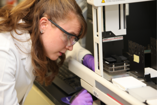 EPA Releases Updated New Approach Methodologies (NAMs) Work Plan | US EPA