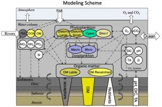 Coastal Generalized Ecosystem Model (CGEM) | US EPA