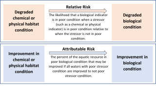 Relative Extent, Relative Risk and Attributable Risk | US EPA